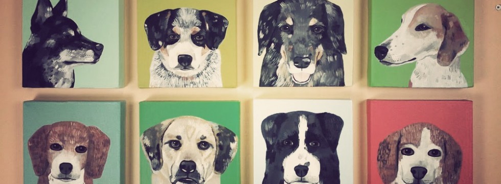 Dog Training Toronto - When Hounds Fly Dog Training