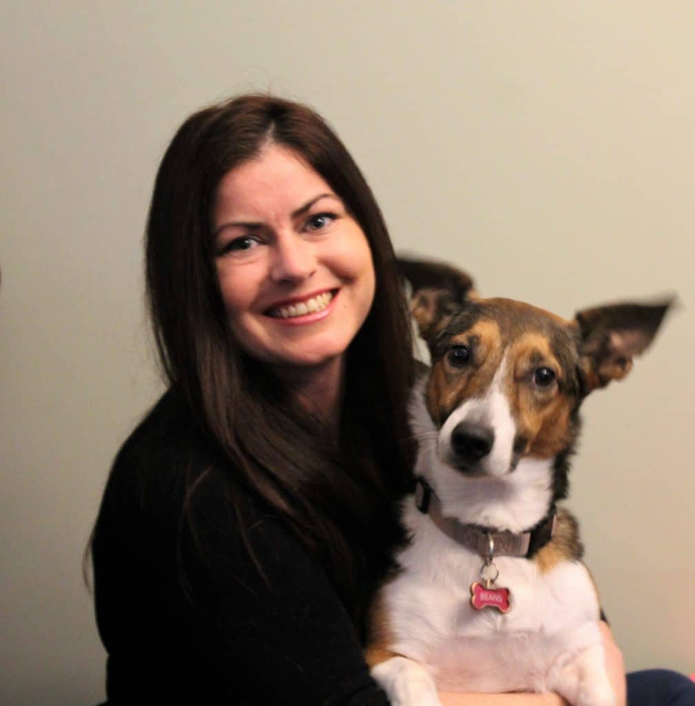 Gratitude and My Next Challenge - When Hounds Fly Dog Training